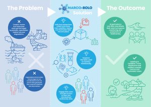 Infographic - Project Explainer - Marco-Bolo