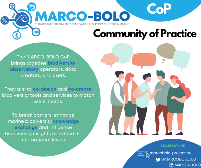 Community of Practice - Marco-Bolo